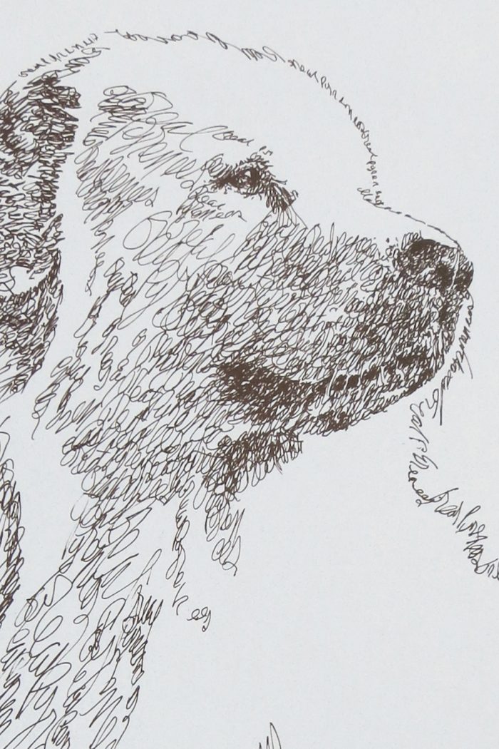 Great Pyrenees: Dog Portrait by Stephen Kline : DrawDOGS by Stephen ...
