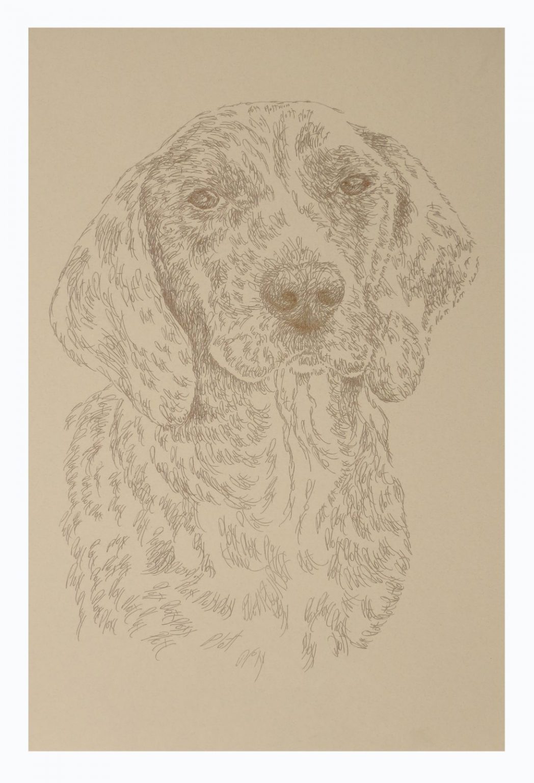 Plott Hound BROWN: Dog Art Portrait by Stephen Kline : DrawDOGS by ...