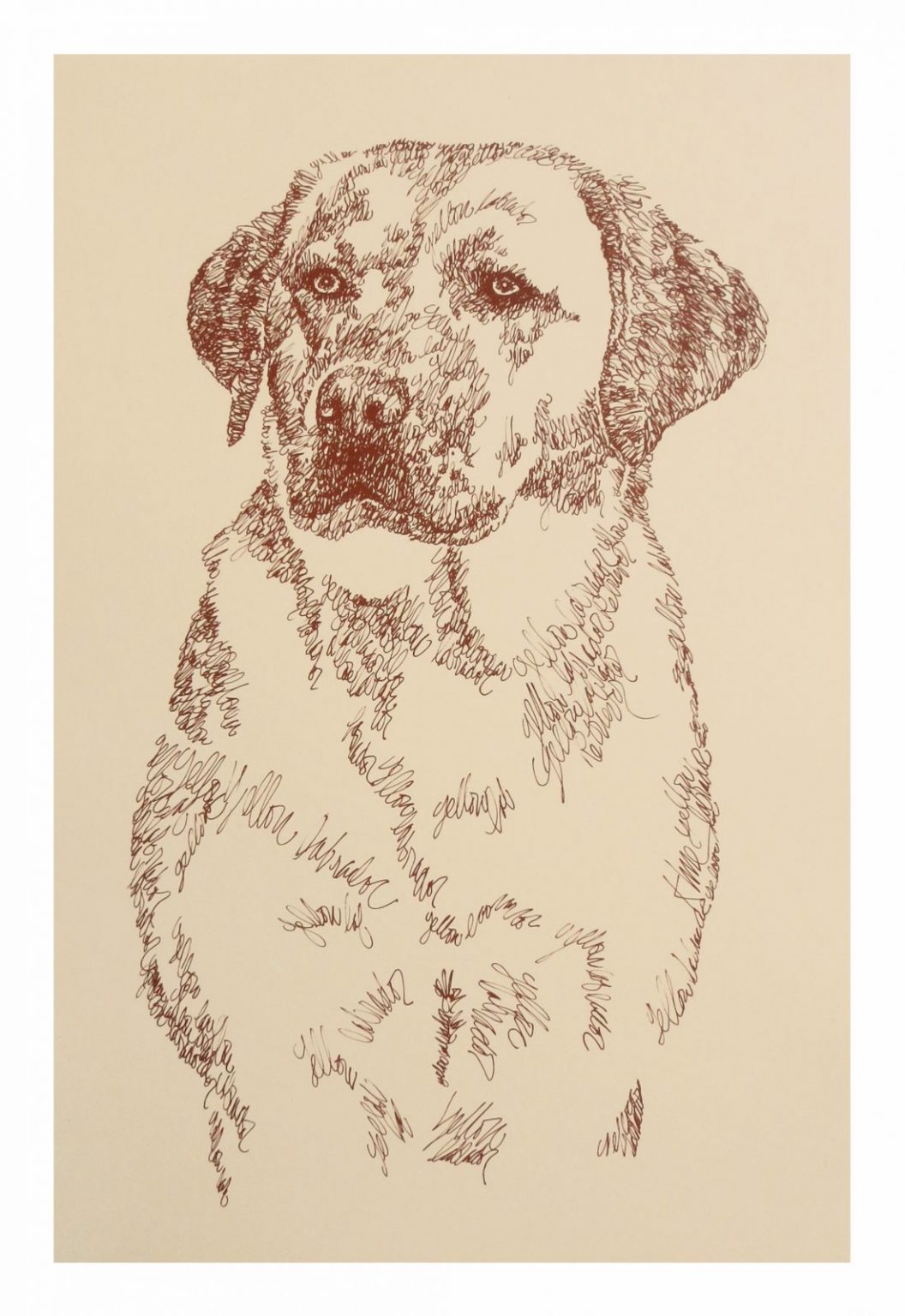 Yellow Labrador Retriever: Dog Portrait by Stephen Kline : DrawDOGS by ...